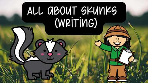All About Skunks Writing Skunks Can Have Are PreK Kindergarten First TK
