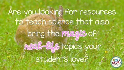 Rabbits | Spring Science | Bunny Animal Research Project, Craft ...