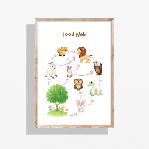 Food Chain & Food Web Educational Posters for Kids | Science Classroom ...