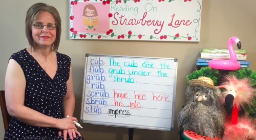 VIDEO: Reading: Set 1. Lesson 57. Word Family Pattern -ub | TpT