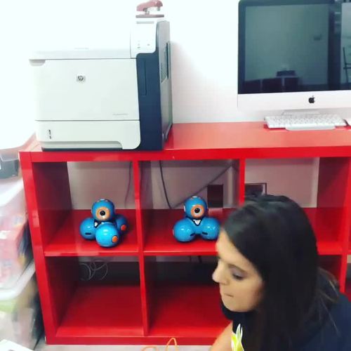 Robot Rules STEM Posters by Naomi Meredith --The Elementary STEM Coach