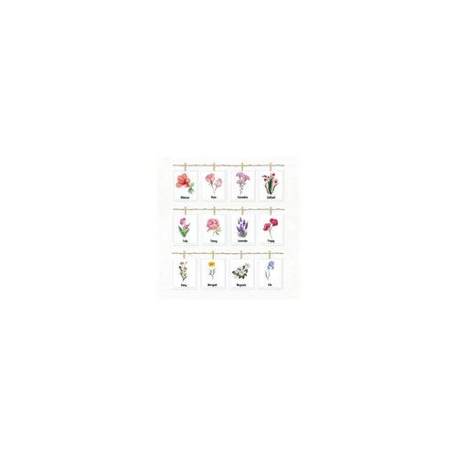 Watercolor Flower Flash Cards – 32 Botanical Prints for Kids ...
