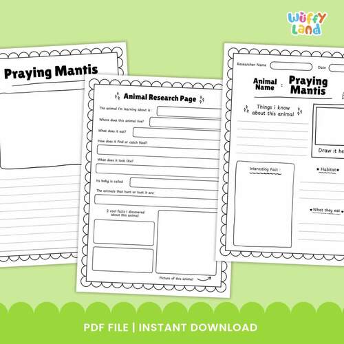 Praying Mantis Animal Research Project | Insect Science Report & Worksheets