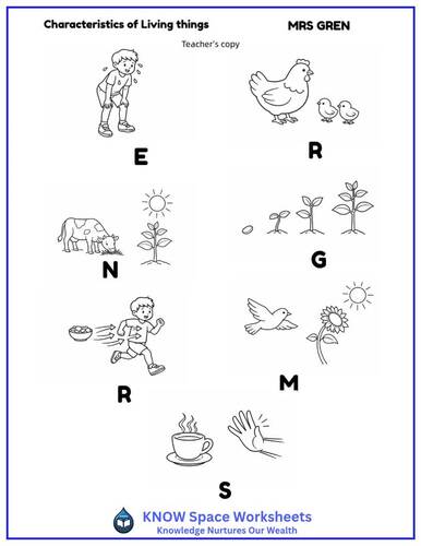 Characteristics of Living Things Worksheet | MRS GREN Activities and Notes