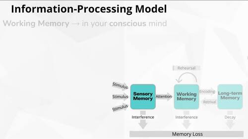 AP Psychology - Unit 5 Lecture Bundle (Cognitive) by GOOD BETTER BEST AP Psychology - Unit 5 Lecture Bundle (Cognitive) by GOOD BETTER BEST