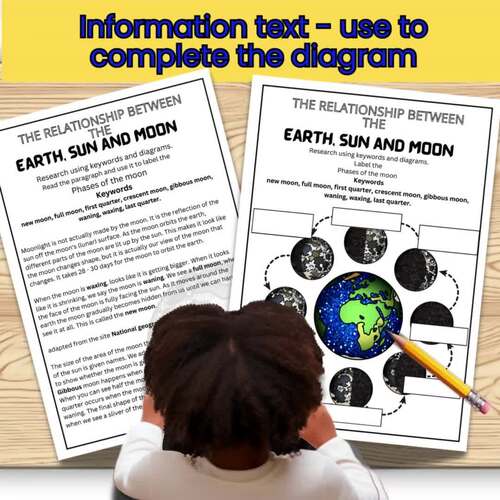 Phases of the moon worksheet & activity - the solar & lunar eclipse craft