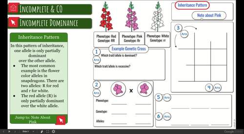 Biology Interactive Diagrams: Unit 8 Genetics by Science With Mrs Lau