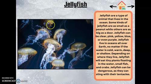 Short Non-Fiction Passage Comprehension w/ WH Questions BOOM Cards ...