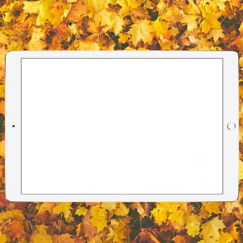 Identifier la monnaie canadienne by LOL - Life of Learning | TPT