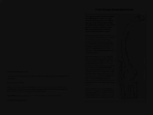 Close Reading Comprehension Practice Papers (Dinosaur Discovery) 9-12 years