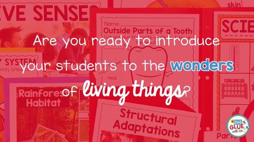 Kindergarten, 1st Grade Life Science Curriculum: Activities, Worksheets ...