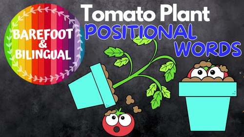 Tomato Positional Words Clipart - Prepositions Grammar Clipart | TPT