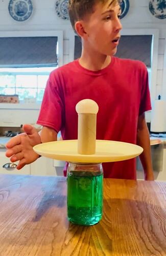 Physics for the Family by For the Love of Homeschooling | TPT