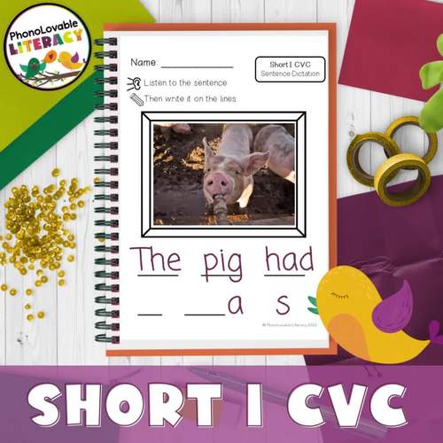 Dictation Sentences for Short I CVC Words with Photo Writing Prompts