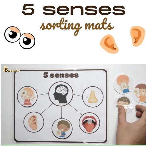Five sense sorting mats activity by Bee a maker | TPT