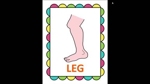 Human Body Parts Flash Cards. 16 Printable flashcards for K & Prek Kids