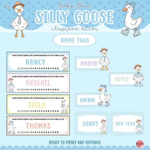 Silly Goose Name Tags: Editable Desk Plates | Preppy Coquette Classroom ...