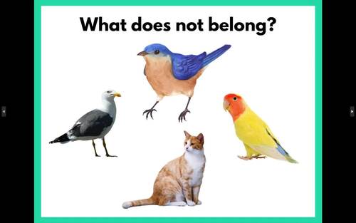 What Does Not Belong? Category Sorting Task Cards. Printables & Google ...