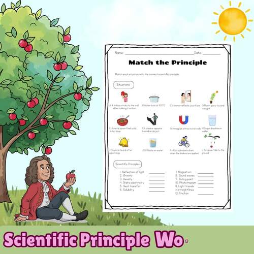 Science Principles Worksheets | No Prep Printables | Answer Key Included