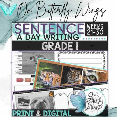 Sentence Writing Grade 1 Weeks 21 to 30 by On Butterfly Wings | TPT