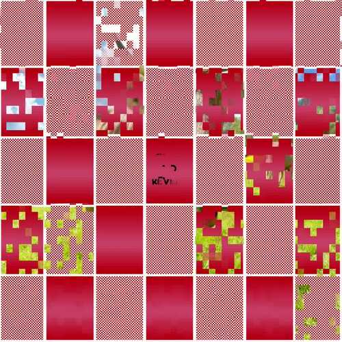 Vocabulary Farm Animals Hide and Reveal Digital Boom Cards AND ...