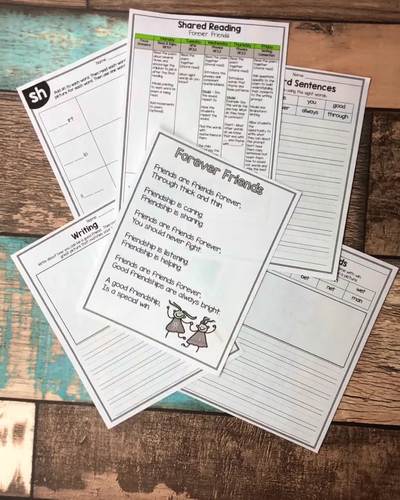 Shared Reading Friendship Poem with Phonics Lessons by Hunt 4 Treasure