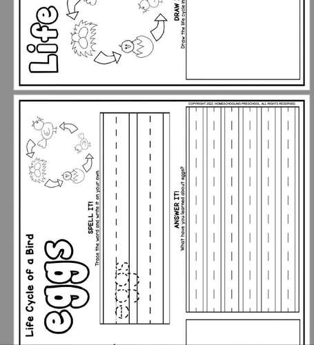 Bird Life Cycle Activity Sheets by HomeschoolingPreschool | TPT
