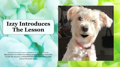 Book-based Bullying Empathy Compassion READY TO USE SEL Lesson w 2 Videos