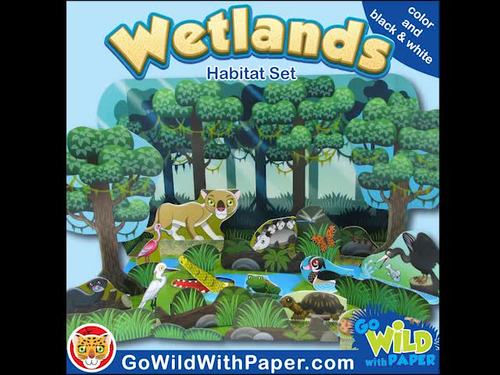 Wetlands Habitat Craft Activity | Florida Everglades Animal Habitat Diorama