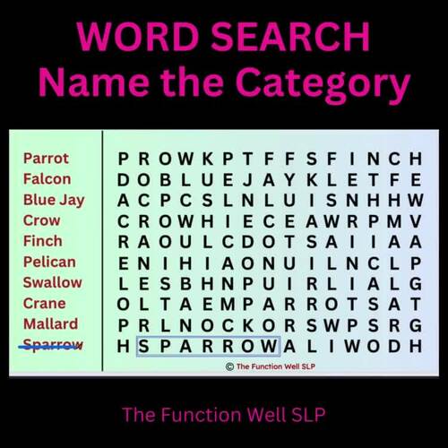 Word Search - Name the Category Task (Aphasia Game) Speech Therapy Activity