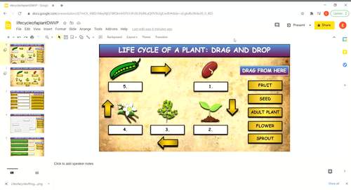 Plant Life Cycle Unit Bundle: Presentation | Drag & Drop | Puzzles ...