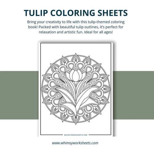 60 Tulip Mandala Flower Coloring Pages and Coloring Sheets by Whimsy ...