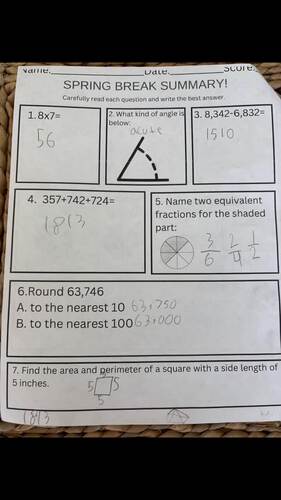 Third Grade Review Test Prep Homework Packet Spring Break Summary by ...