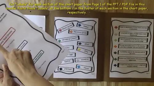 Human Body Systems Project BUNDLE of File Folder Activities for 6 Systems