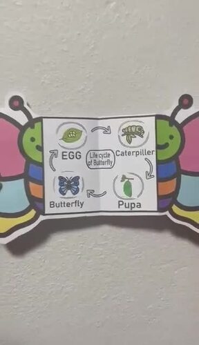 end of year craft activities liffe cycle of a Butterfly | summer activities