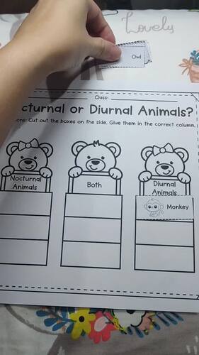 Nocturnal Animals and Diurnal Animals Sorting Activity – Cut and Paste ...