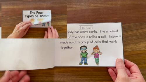 Tissue Mini Reader Human Body Human Body Systems Four Types of Tissue