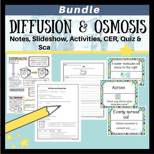 Diffusion and Osmosis Sketch Notes, Scavenger Hunt, CER, Quiz, & More!