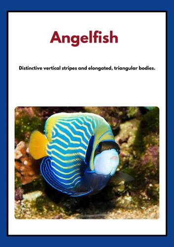 Types of Fish and Their Characteristics Flashcards by Learnemax