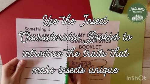 Insect Characteristic Booklet by Naturally Teaching | TPT
