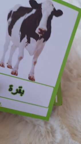 Arabic Animal Flashcards – 76 Real Photos for ESL & Early Learners by ...