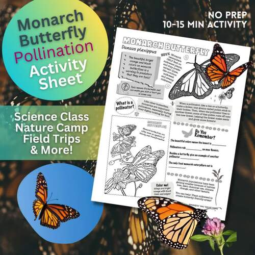 Monarch Butterfly - Animal Facts, Science Vocab, Coloring, Content ...