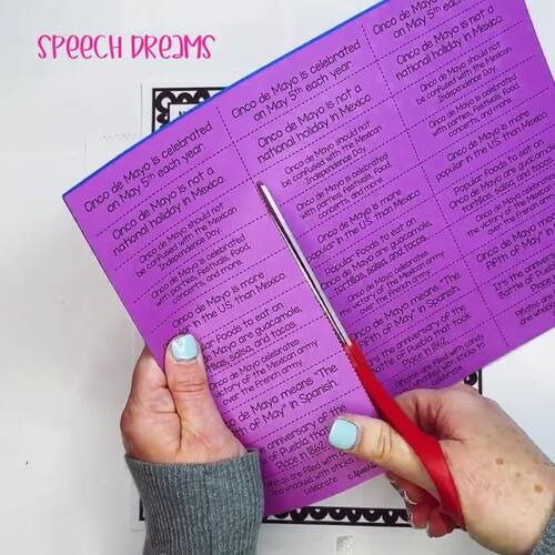 Cinco de Mayo Craft Activity | Mexico Country Study Facts for End of ...