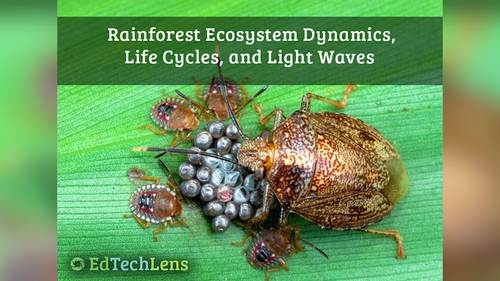 Ecosystem Dynamics, Life Cycles, Light, & Human Uses of Rainforests ...