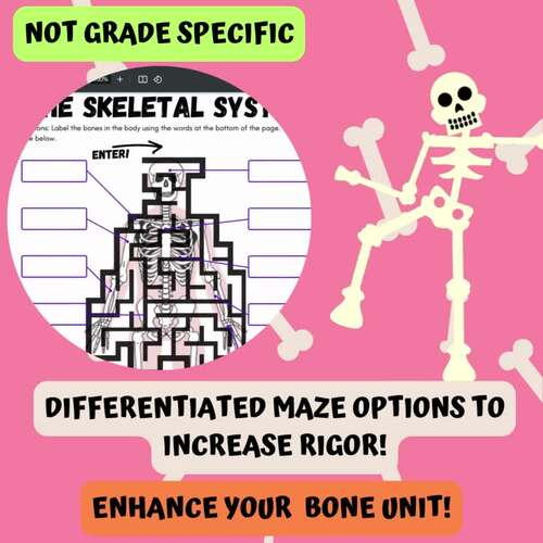 Skeletal System Worksheet For Kids Not Grade Specific Vocabulary Maze ...