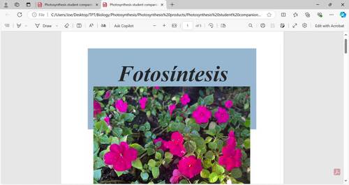 Photosynthesis Slide Deck and Student Companion Worksheet Spanish
