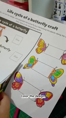 Butterfly Life Cycle Craft for kids, 3D butterfly, STEM Educational Craft