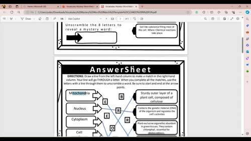 Vocabulary Parts of Cell Word Match - Biology by QueenOfCuriosity