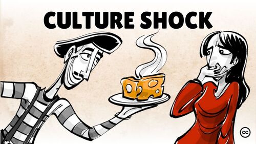 The 4 Stages of Adaptation [Culture Shock] by Sprouts Learning Materials