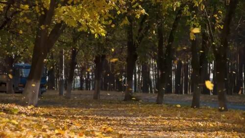 5th Grade Math Fall Activity - Fall Math Mystery Worksheets Review Game